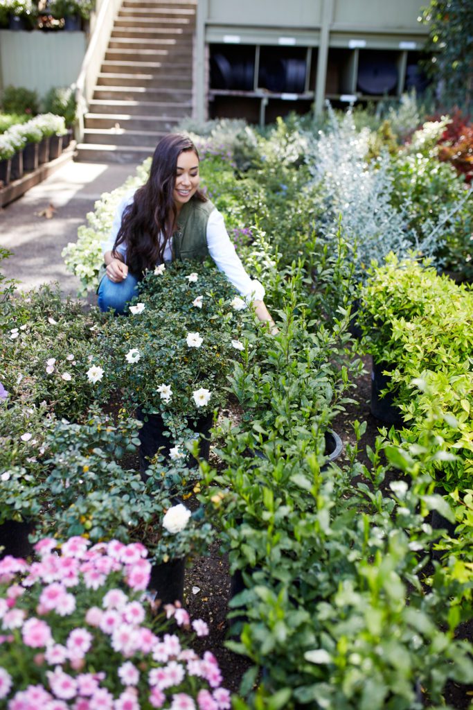 Starting our very own garden | With Love From Kat